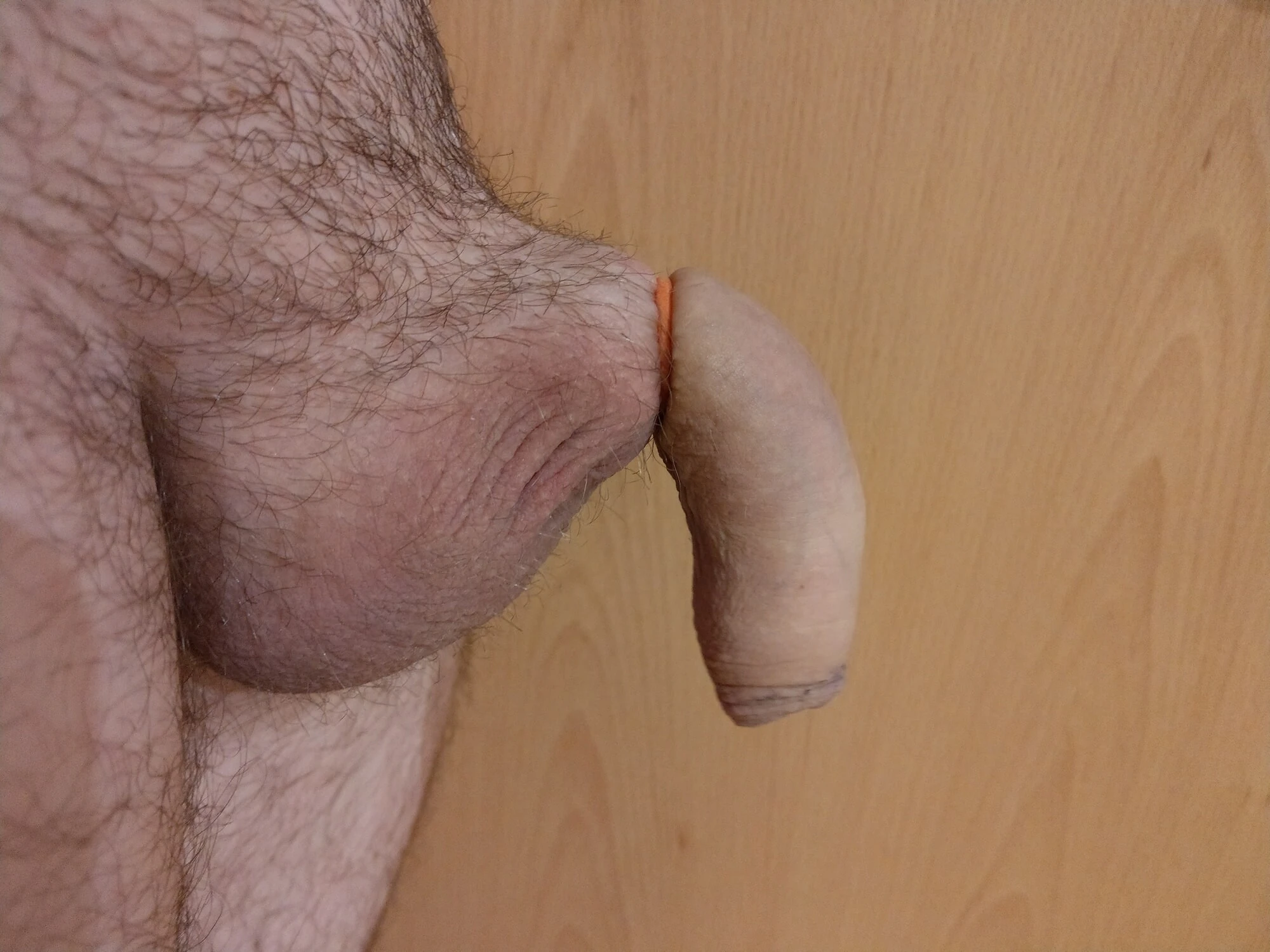 Flaccid Cock Banded 17 Pics Xhamster