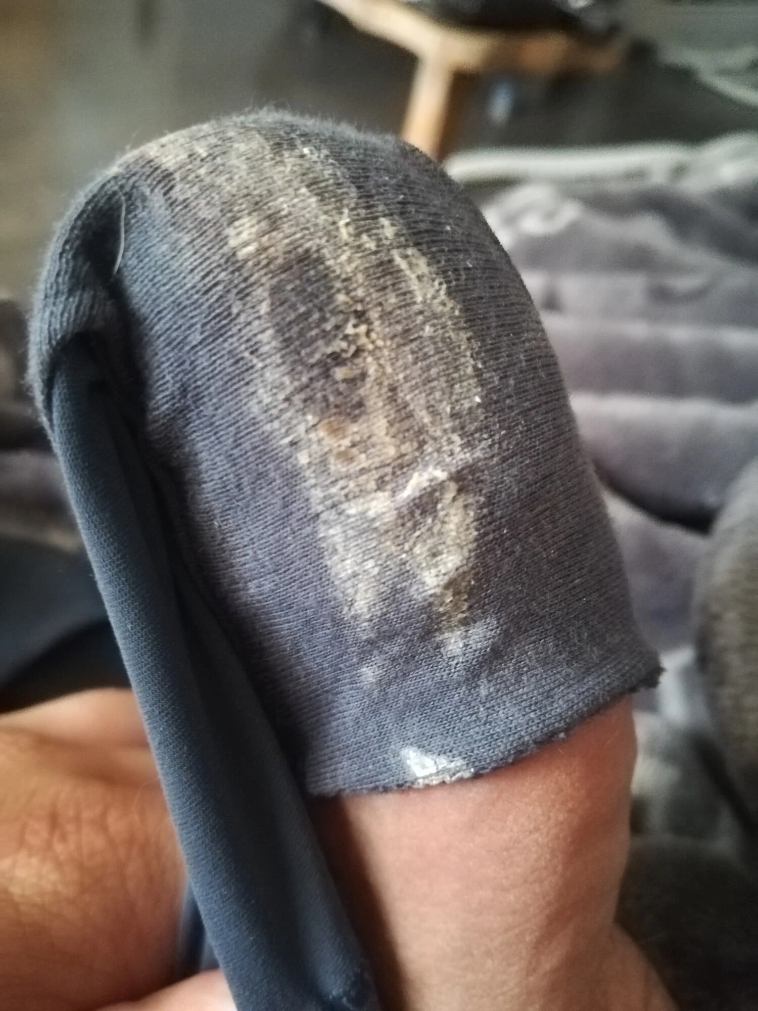 Worn Panties 11 Pics Xhamster
