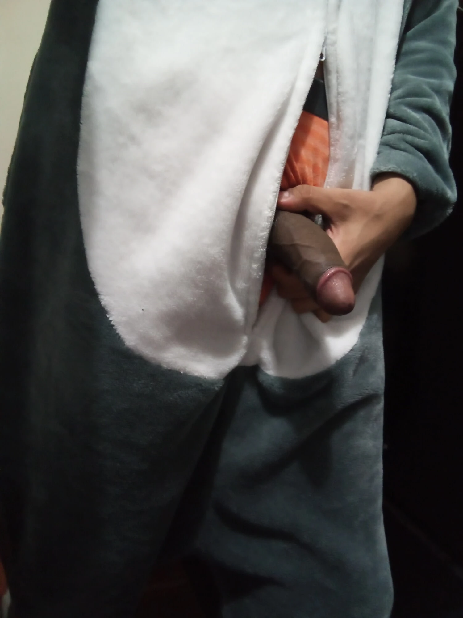 Kigurumi Pijamas Erection 6 Pics Xhamster