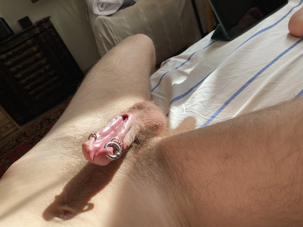 Split Penis 15 Pics Xhamster