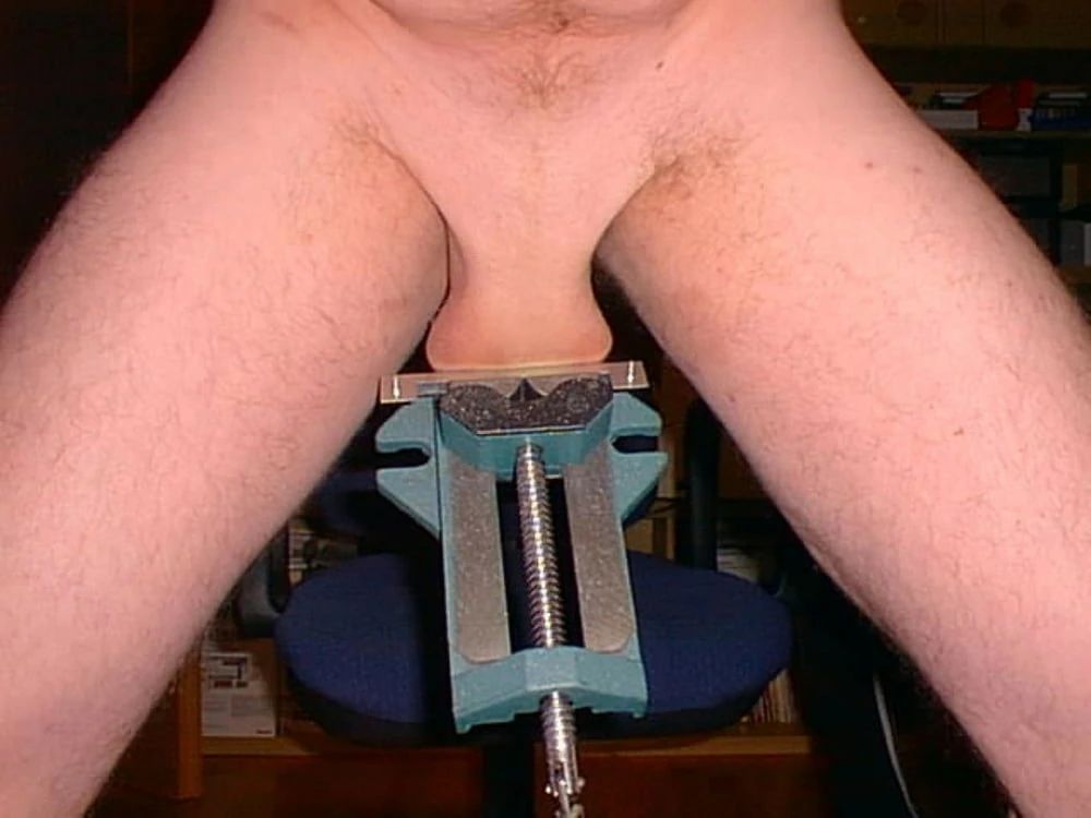Cock And Balls In Vice 12 Pics Xhamster